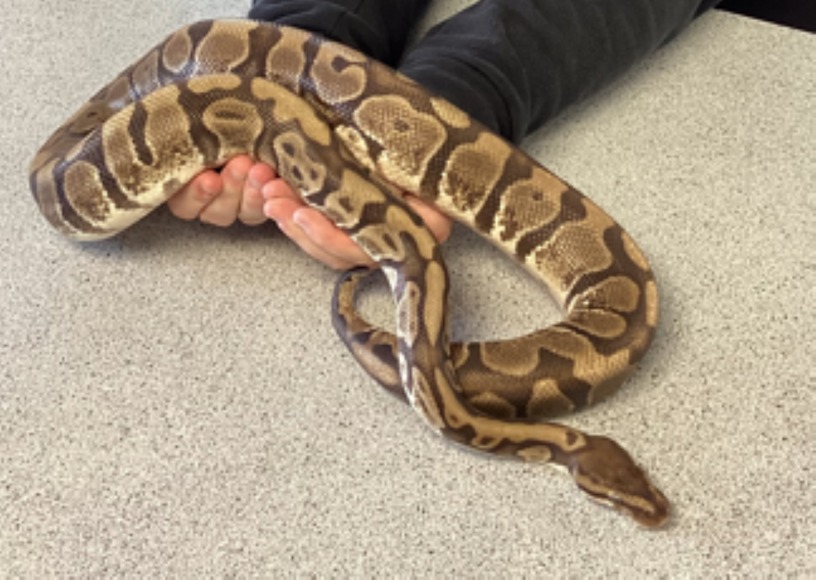 ZooLab Evolution - Latest News - Newcastle Bridges School