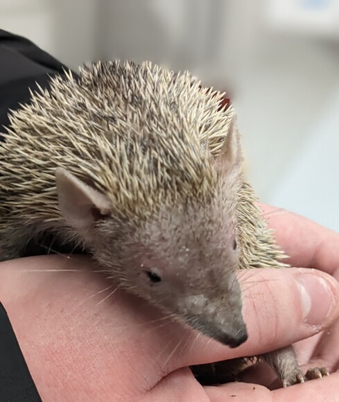 Visit to Kirkley Hall - Latest News - Newcastle Bridges School